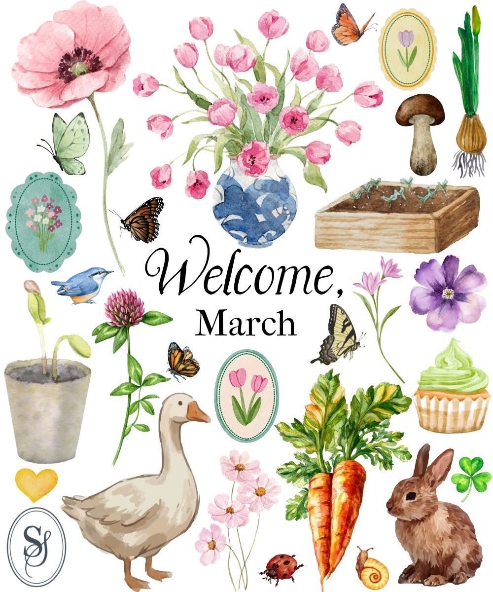 Welcome March! 🍀🐇🌷🦋 • Evolution of Benefits